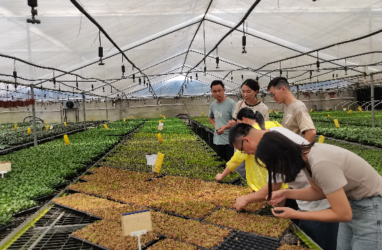 环艺所到花都开展科技服务 广东省农业科学院